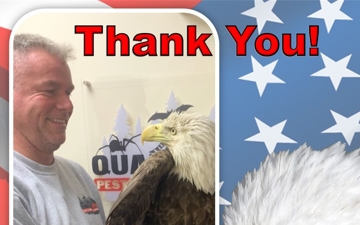 Westchester County Pest and Wildlife Control | QualityPro Pest ...