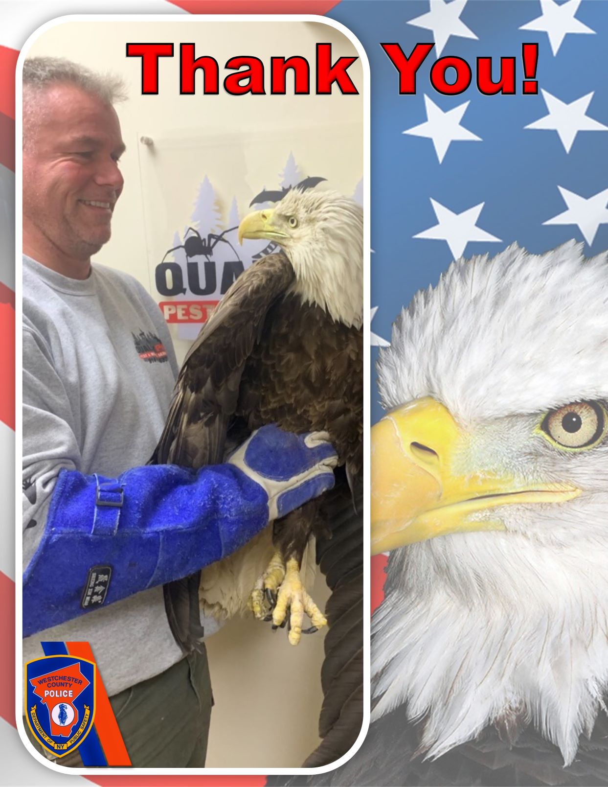 In The News - QualityPro